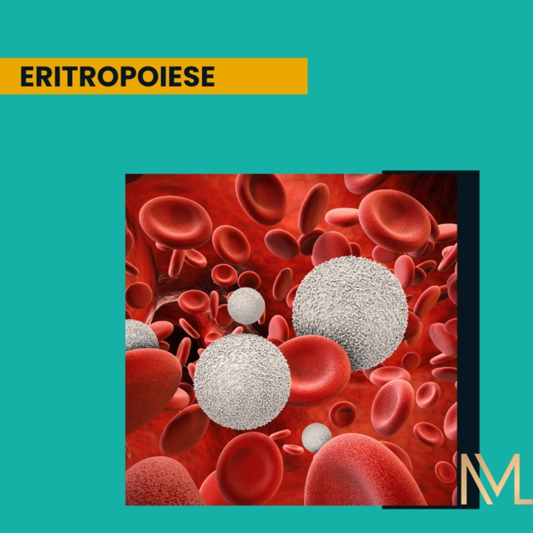 ERITROPOIESE - INML
